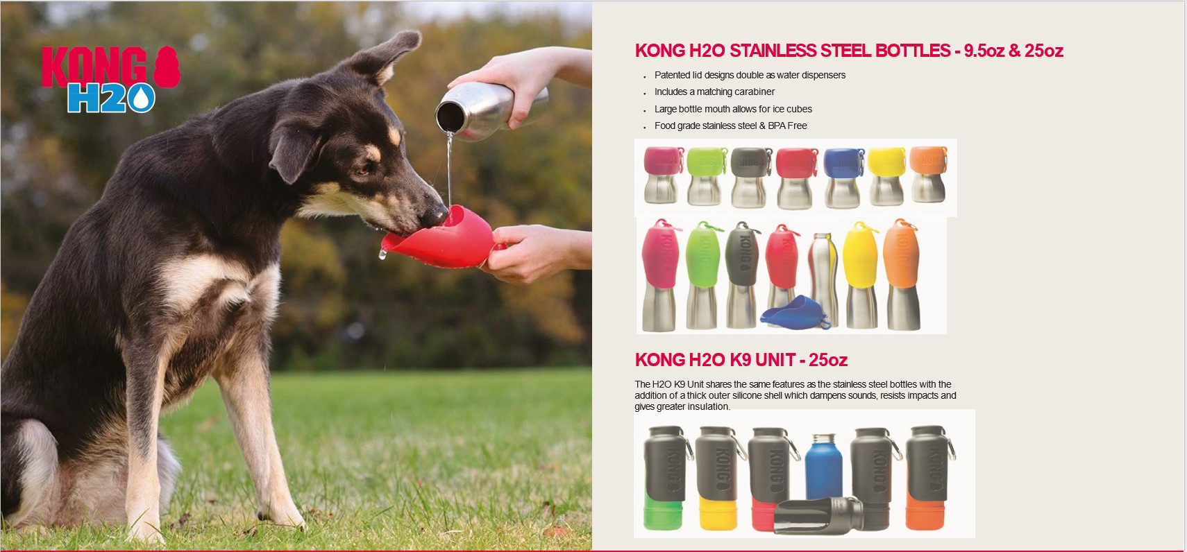 Kong – Central Pet