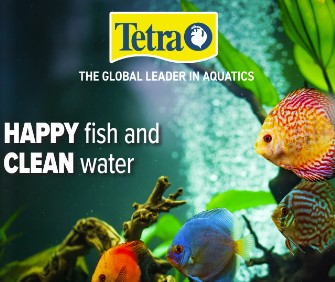 Gallery-Tetra – Central Pet